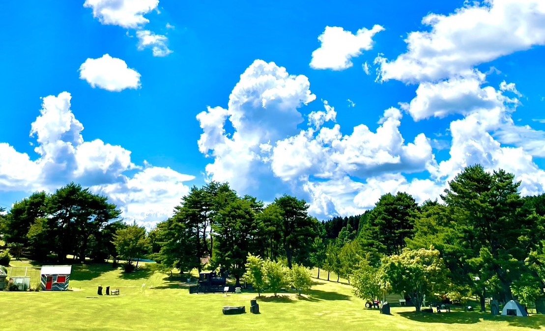 「天空のSOBAフェス」食とよさこいとサウナが集った野外フェス – Guidoor Media | ガイドアメディア