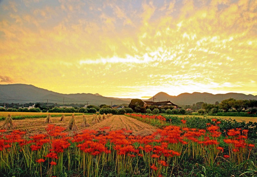 南足柄市 | Minamiashigara -Guidoor-