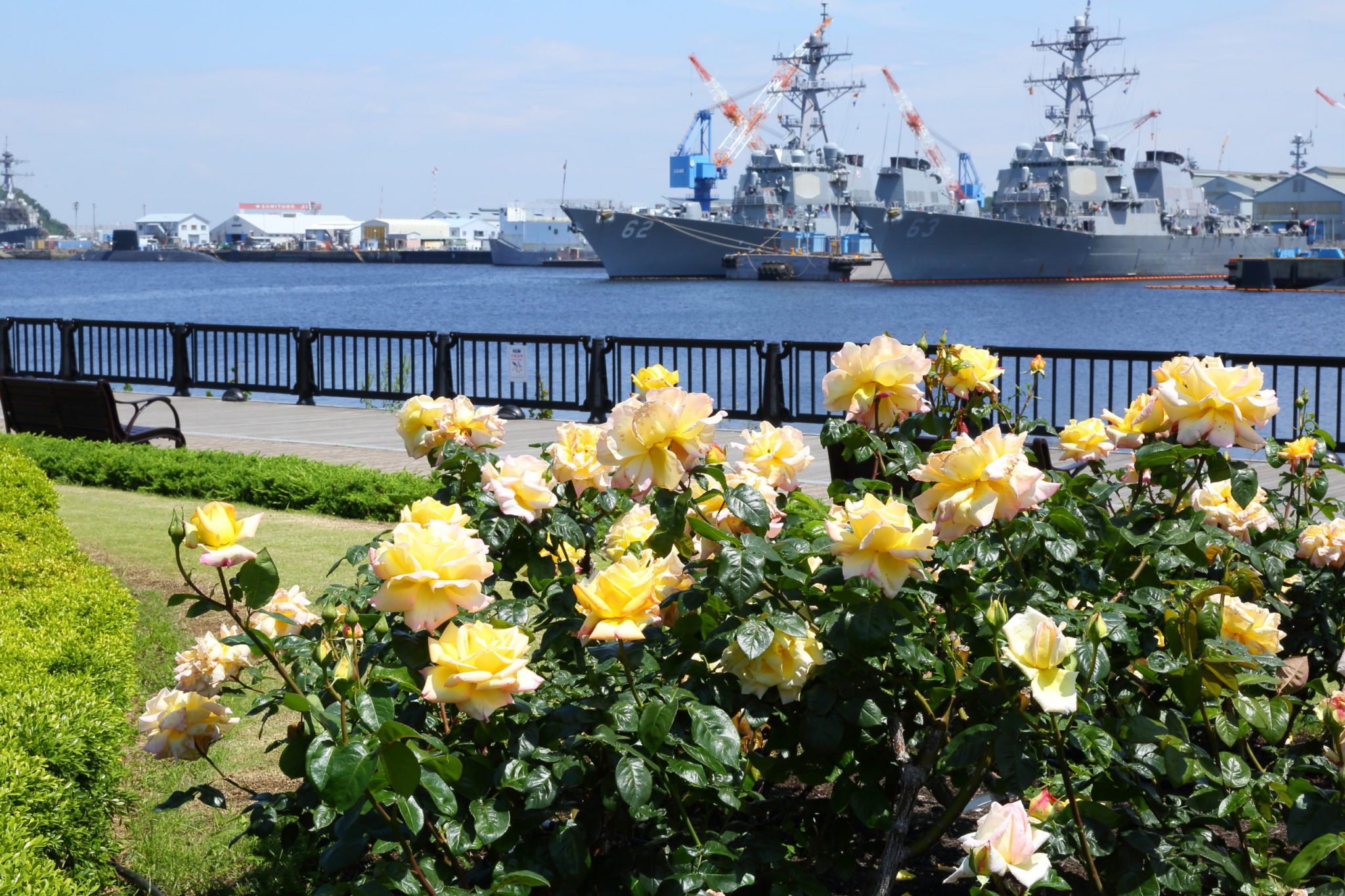 Japan-US Friendship Yokosuka Spring Festival 2025 | U.S. Navy Base Event