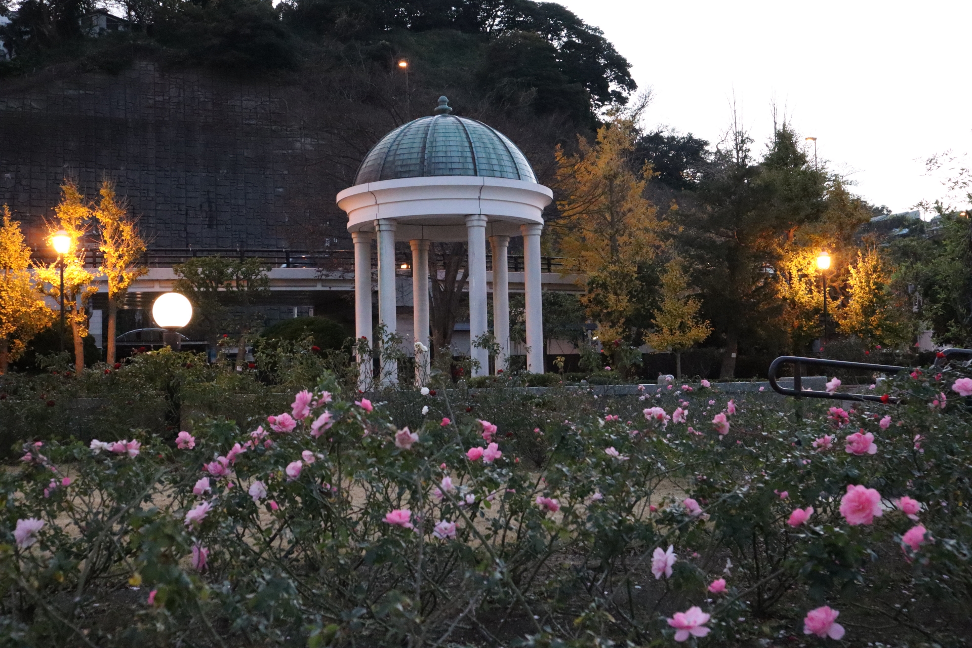 Yokosuka Thibaudier Residence Museum - Spring Rose Day 2024