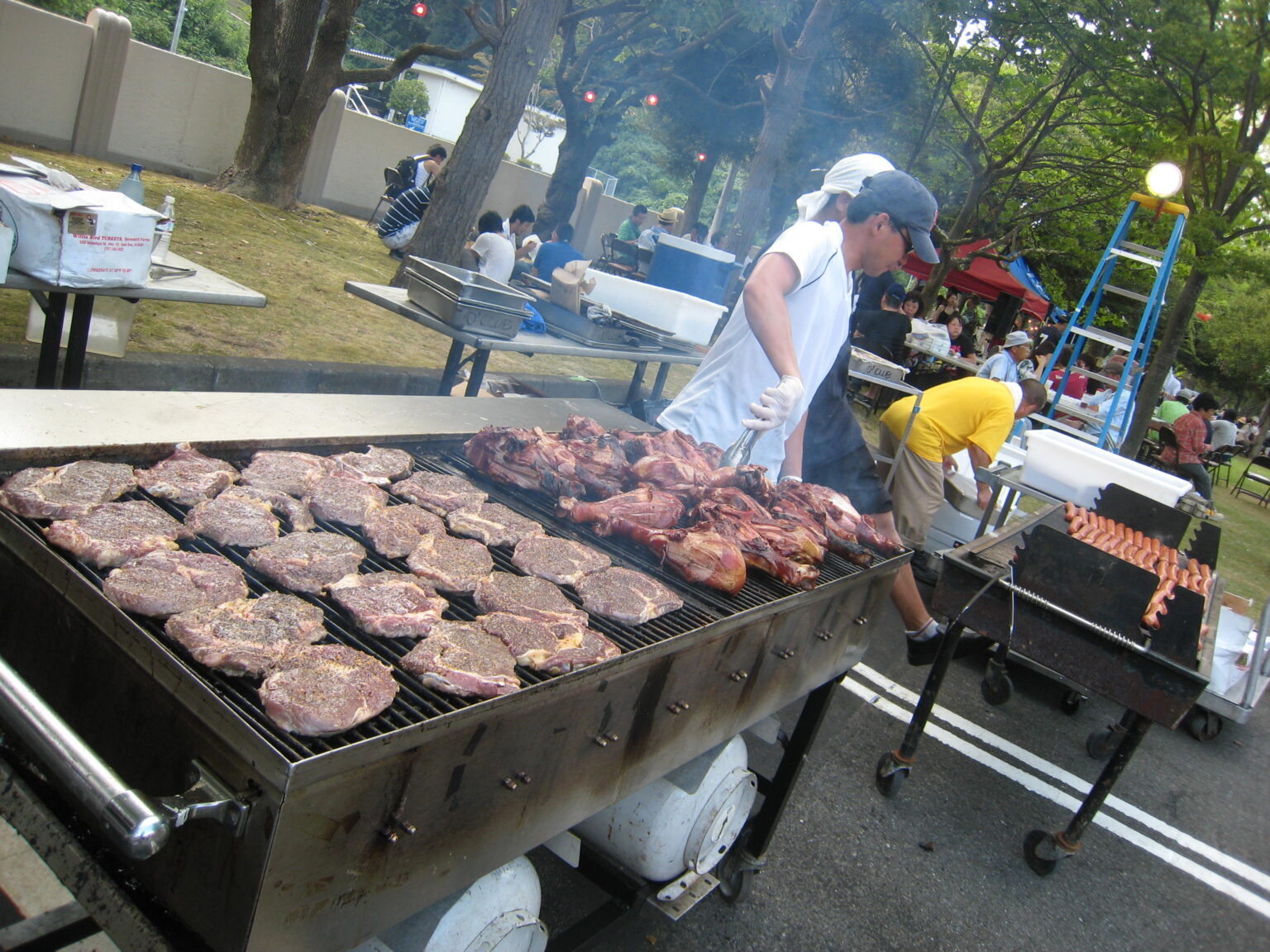 Japan-US Friendship Yokosuka Spring Festival 2025 | U.S. Navy Base Event